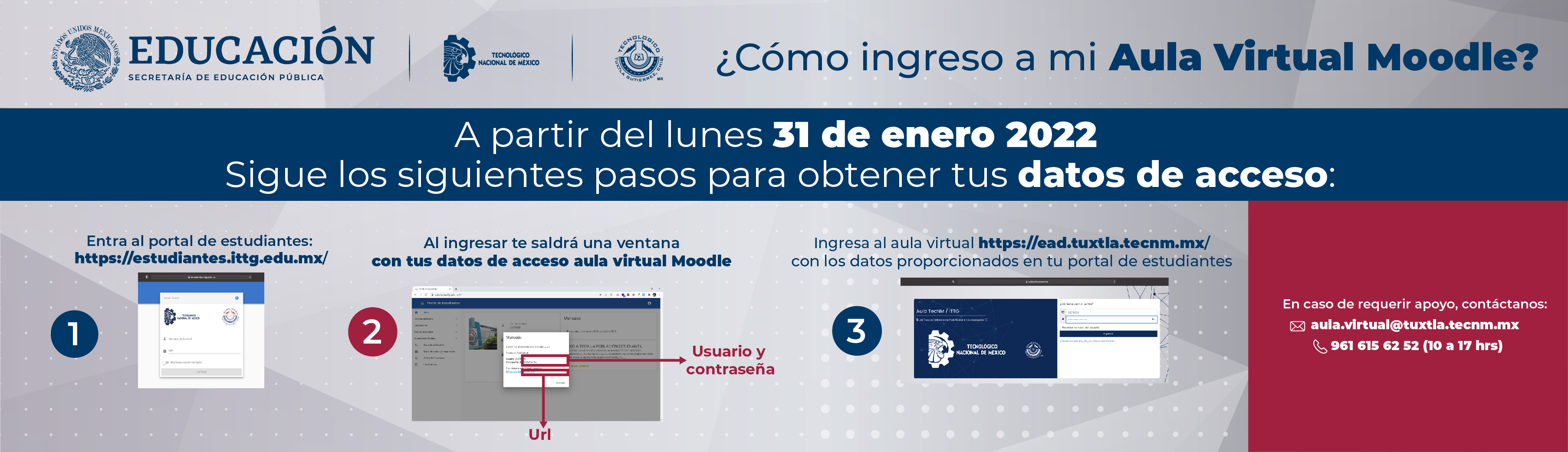 Estudian hongo Simbionte para la conservacion del Niij – Instituto ...