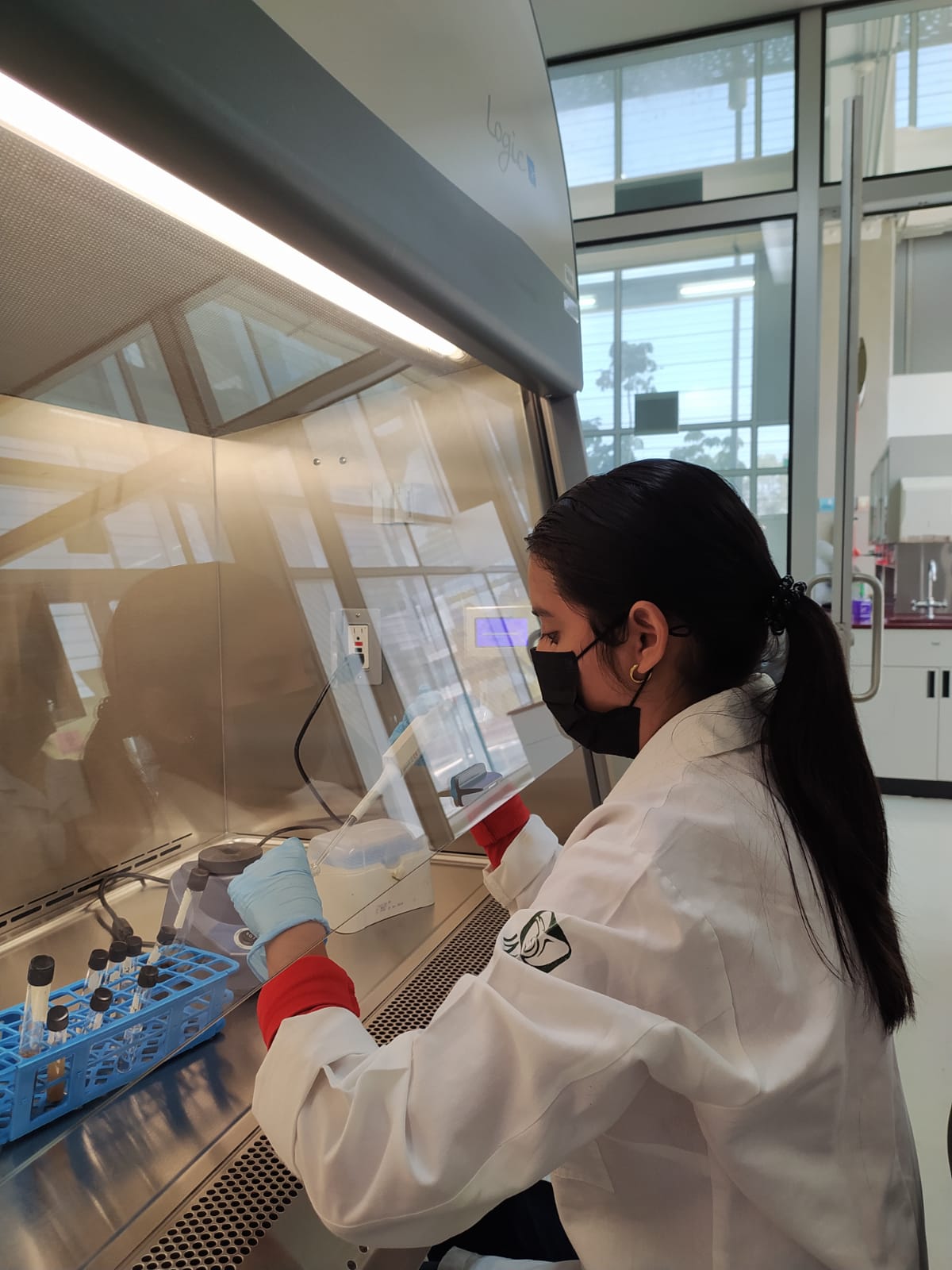 Microorganismos como agentes de Control Biológico en el control de ...